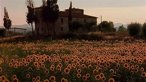 Arrivata Su Netflix Una Commedia Italiana Simbolo Degli Anni 90