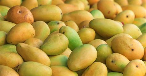 A Comprehensive Overview Of Pakistani Mango Price In Pakistan Structures High Da Pa Dr Guest
