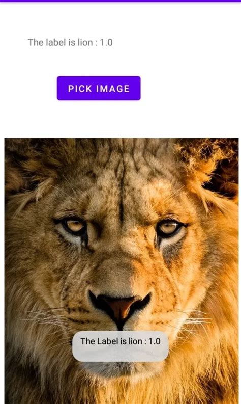Image Labeling In Android With Fritz AI Fritz Ai