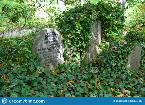 Amsterdam Netherlands July 2022 Overgrown Graves In The Oldest