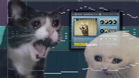 My Cat Every Night Thinking I Died In My Sleep Youtube