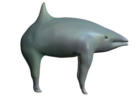 1552 Best Rspeculativeevolution Images On Pholder I Know This Wasnt