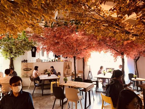 Kreams Krafthouse Instagram Worthy Korean Cafe With Maple Leaves