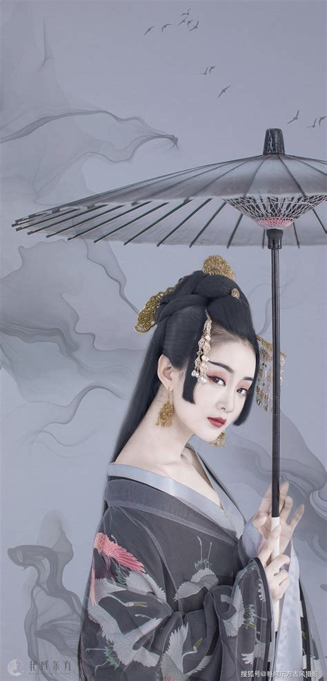 艳域东方 墨隐仙鹤飞舞墨色写真 搜狐大视野 搜狐新闻