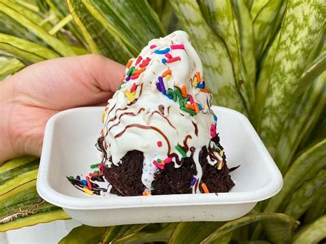 National Ice Cream Day Freebies And Discounts In Orlando Orlando