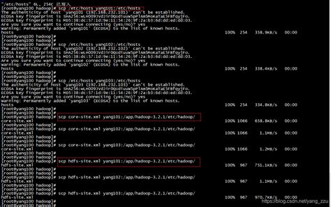 Hadoop全分布安装cannot Set Priority Of Namenode Process 53962 Csdn博客