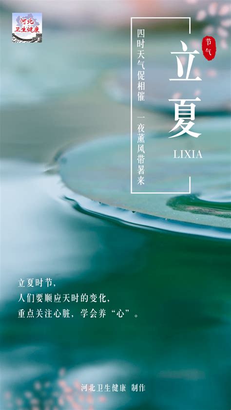 健康日历 立夏时节 顺应天时 学会养心