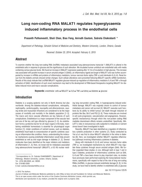 Pdf Long Non Coding Rna Malat1 Regulates Hyperglycaemia Induced
