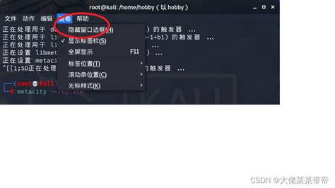 Kali（linux）的窗口3键（最大化、最小化、关闭）消失解决办法kali窗口没有关闭选项 Csdn博客