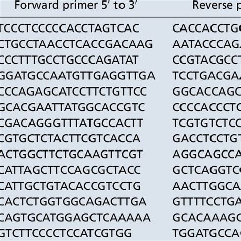 Primer Pairs Used For Pcr Amplification Download Table