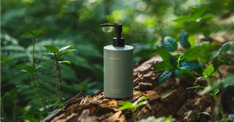 蘊含東三河產植物萃取精華日本Waphyto新商品Hand Wash Immerse 日本必買