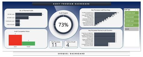 Efficient Business Audit Program