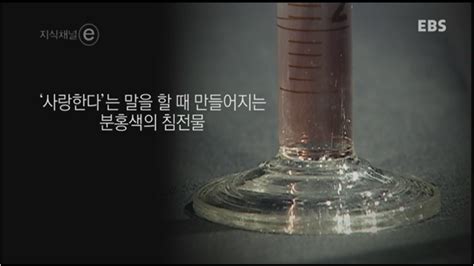지식채널 E 욕설의 반란 네이버 블로그