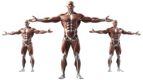 Core Body Temperature Body Temperature Epidemic Epidemic Prevention