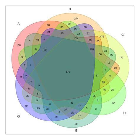 Exploring The Power Of Venn Diagrams Unraveling 6 Unique Overlapping