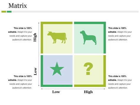 Matrix Ppt PowerPoint Presentation Ideas Pictures Matrix Ppt PowerPoint Presentation Ideas Pictures