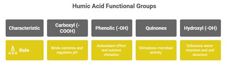 Chemical Structure Of Humic Acid Explained