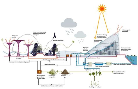 Urban Heat Island Effect Mitigation Strategies For Cooler Cities