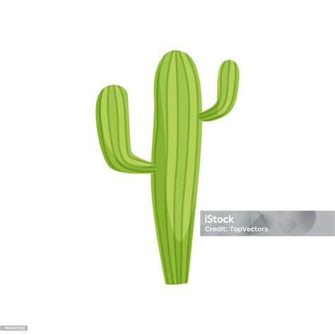 선인장 식물 흰색 배경에 멕시코 벡터 일러스트 레이 션의 전통적인 상징 0명에 대한 스톡 벡터 아트 및 기타 이미지 0명 녹색 농장 Istock