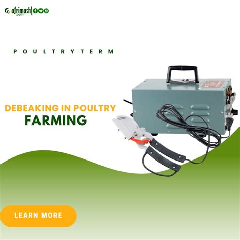 Debeaking How To Cut Chicken Beak Better Afrimash Company Limited Posted On The Topic Linkedin