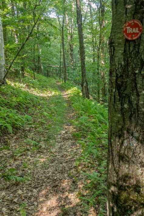 Hike The Huckleberry Loop From Huckleberry Loop Road