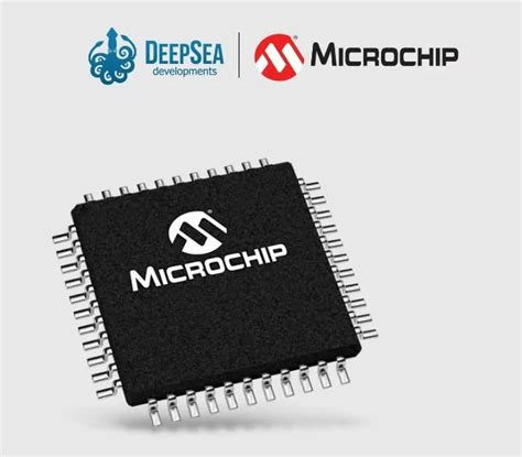 Innovative Microchip Based Solutions For Smbs And Startups