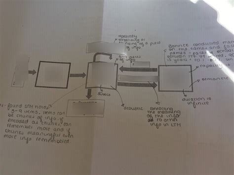 CP Theory Multi Store Memory Model Diagram Quizlet