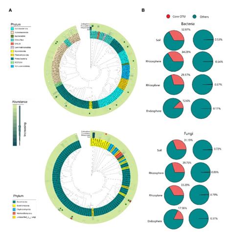 Composition And Phylogenetic Tree Of Core Microbes In Different