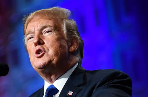 Will Michigan Rust Belt Voters Support Trump Again In 2020 Newsweek