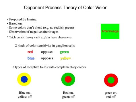 Ppt Color Vision Powerpoint Presentation Free Download Id 4374190
