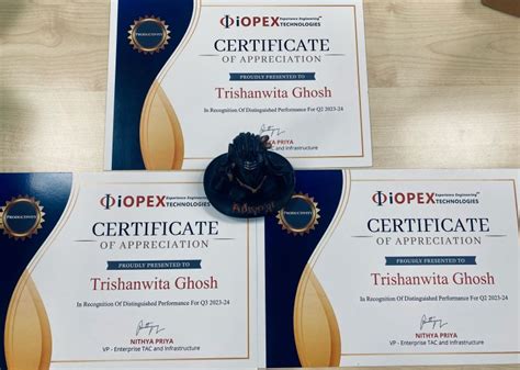 Trishanwita Ghosh On Linkedin Gratitude Achievement Teamwork Productivity Iopextechnologies…