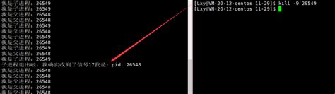 Linux 可重入函数volatile 关键字sigchld信号linux 可重入函数 Csdn博客