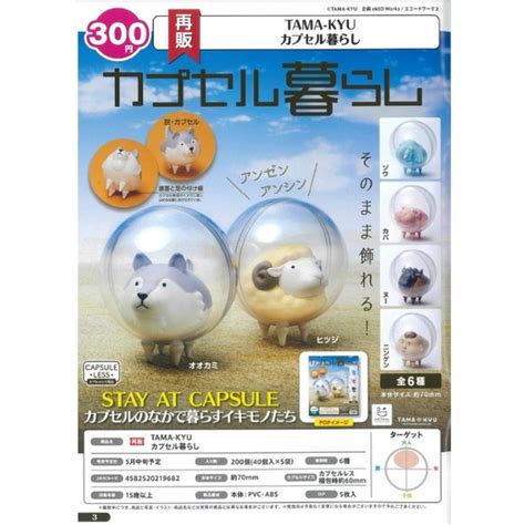 現貨 實體門市 Tama Kyu 住在扭蛋裡的動物 扭蛋 動物扭蛋 扭蛋艙生活動物 關在扭蛋裡的動物 困在蛋殼裡的動物 蝦皮購物