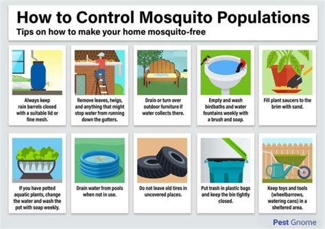 Mosquito Season 23 Tips On How To Prepare