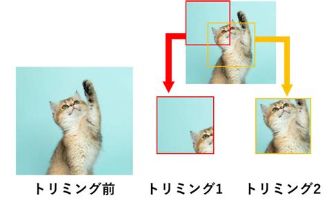 [python入門] Opencvで簡単な画像処理をしてみよう！｜すらぷろ