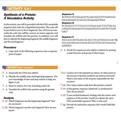 Solved Synthesis Of A Protein A Simulation Activity In This Chegg