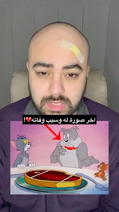 كلب توم وجيريسبايك مات وهذي اخر صوره له Youtube