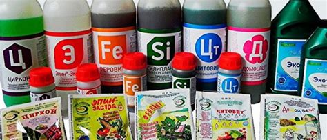 Стимуляторы для роста растений в домашних условиях: для чего нужны и ...