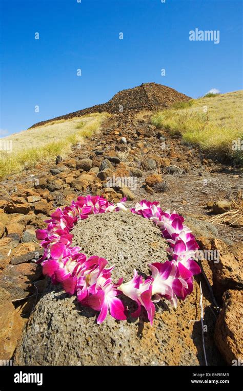 Hawaii Big Island North Kohala Kawaihae Mailekini Heiau Orchid Lei