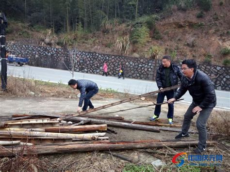 濛洲街道开展清洁家园迎新春行动 中国庆元网
