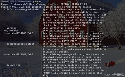 Google Protocol Buffers快速入门指南 protocolbuffers安装 CSDN博客