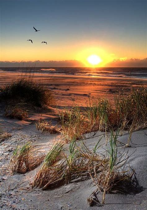Beautiful Mother Nature Ocracoke Island Beautiful Landscapes Sunrise