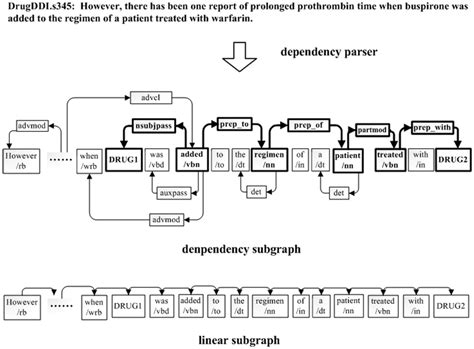 Graph Representation Of A Sentence Download Scientific Diagram