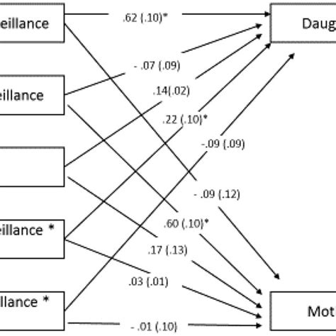 Actorpartner Interdependence Model Depicting Actor And Partner Effects