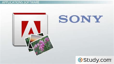 Application Software Overview Types And Examples Lesson