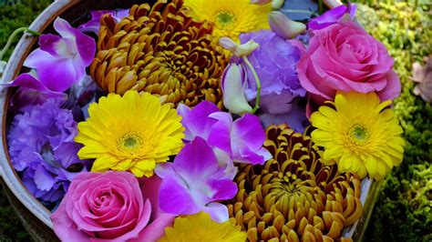 向日葵の小さな旅 On Twitter おはよぉ〜🌼🌺🌿🐿️🐇🌞 京都は紅葉が進み🍁🍁🍂🌾黄色や紅く色付いた木々が綺麗で学校やバイトに行く