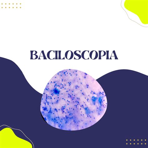 Como Funciona A Via Clássica Do Sistema Complemento