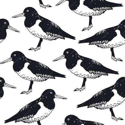 Premium Vector Oyster Catcher Seamless Vector Pattern