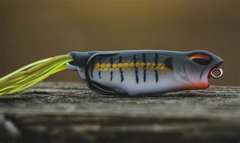 The 5 Best Pre Spawn Bass Lures Barb Catch Fishing