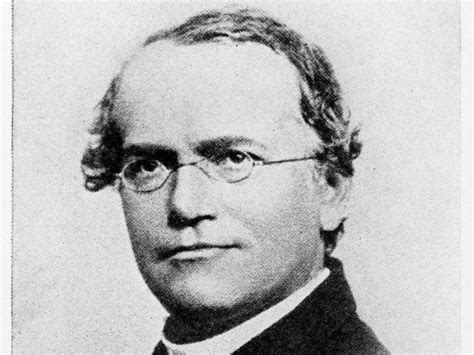 5 Fakta Menarik Gregor Mendel Dikenal Sebagai Bapak Genetik